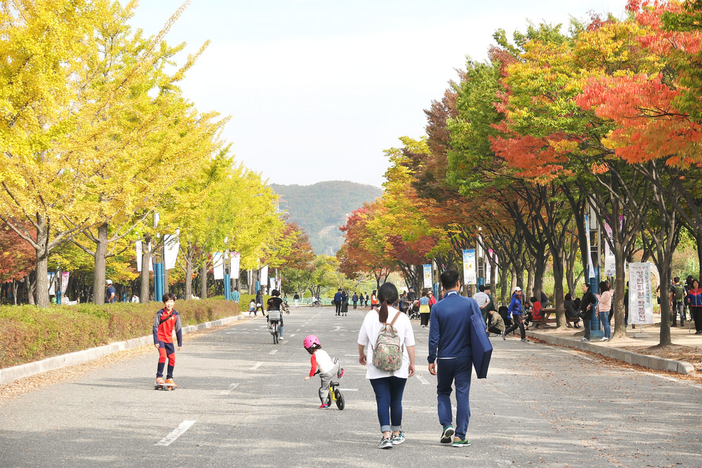 Incheon: Autumn at Incheon Grand Park (인천대공원), South Korea. – ching