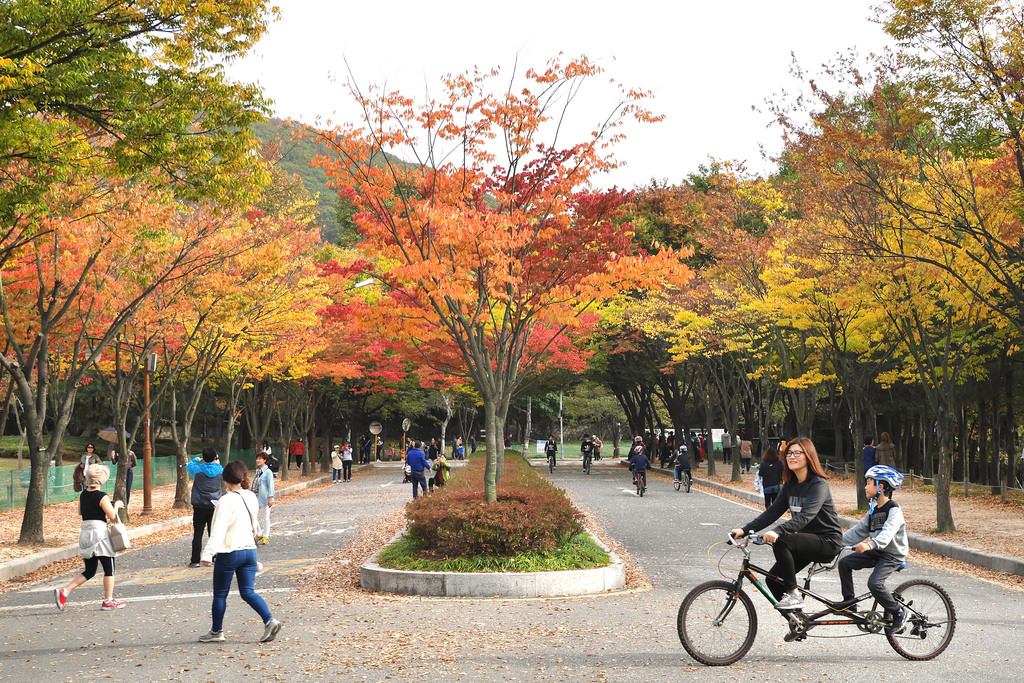 Incheon: Autumn at Incheon Grand Park (인천대공원), South Korea. – ching